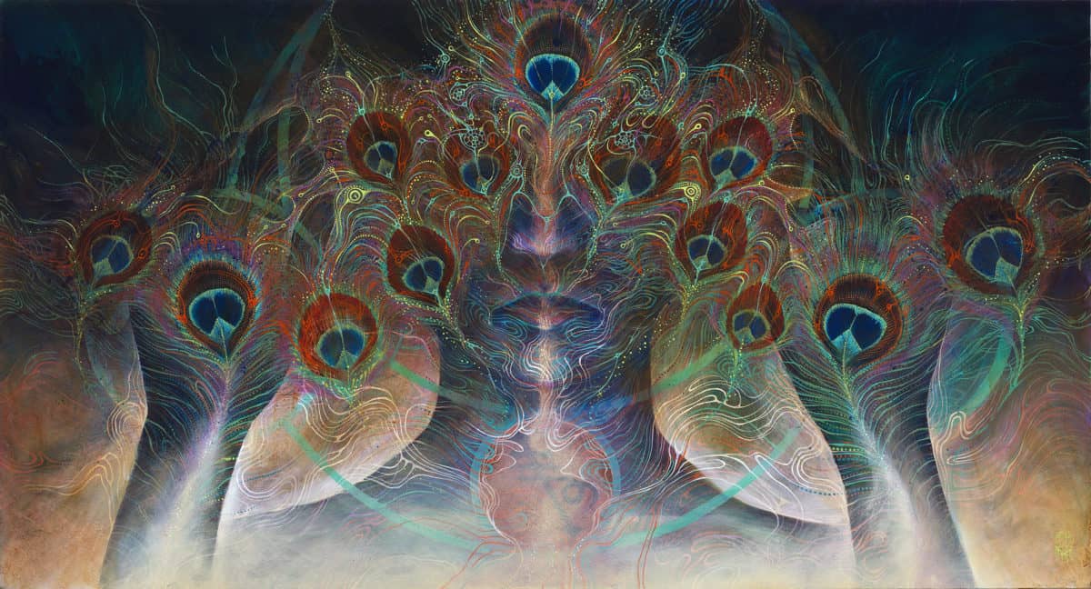 Cauda Pavonis • The Bridge Brothers